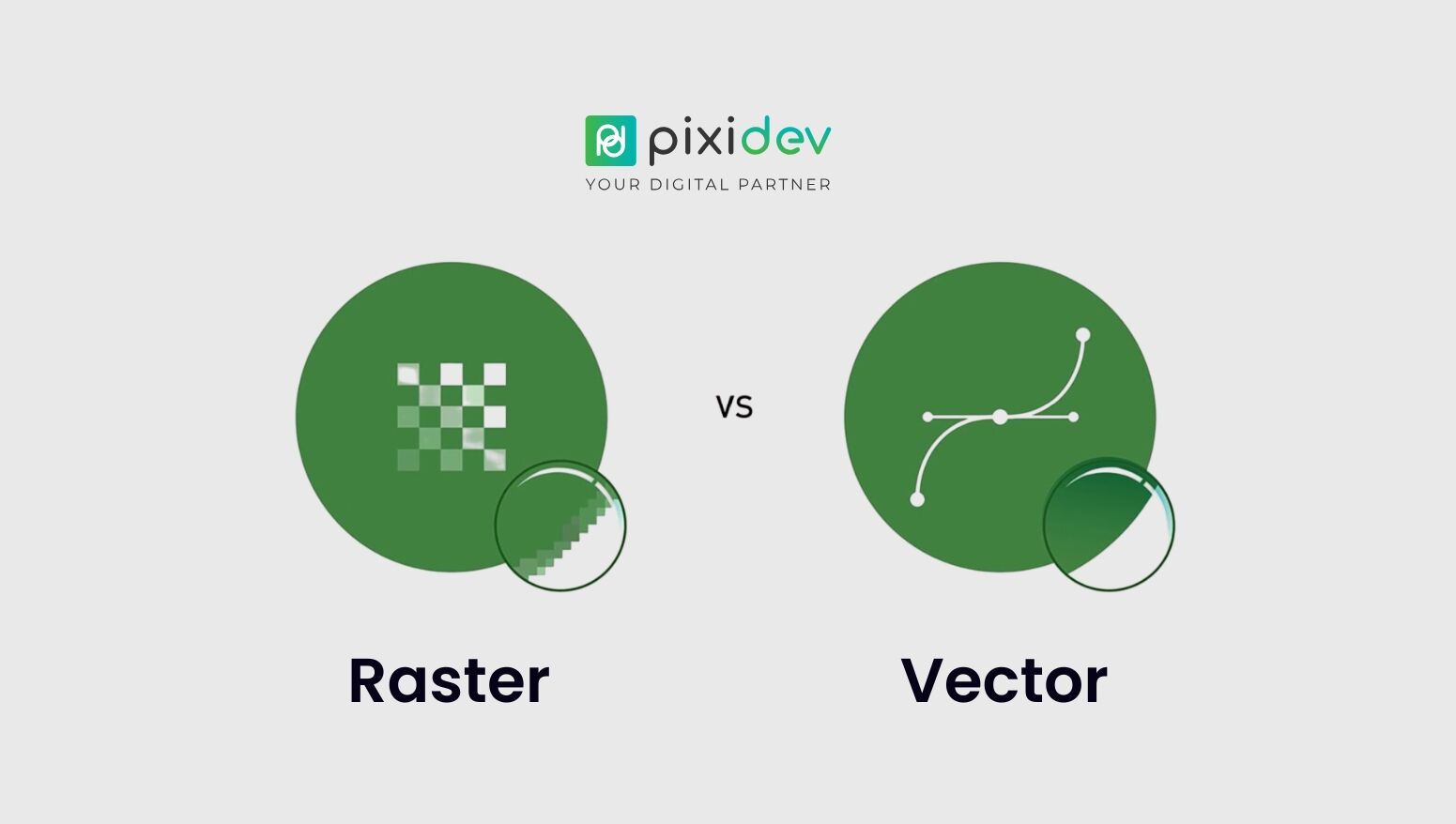What Are the Differences Between Raster and Vector Graphics?